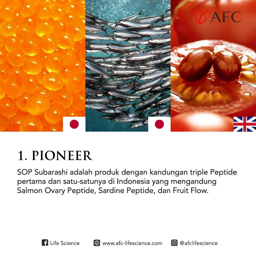 SOP SUBARASHI, UTSUKUSHHII, SOP 100+ dan SENSEI SURU AFC: SOP SUBARASHI