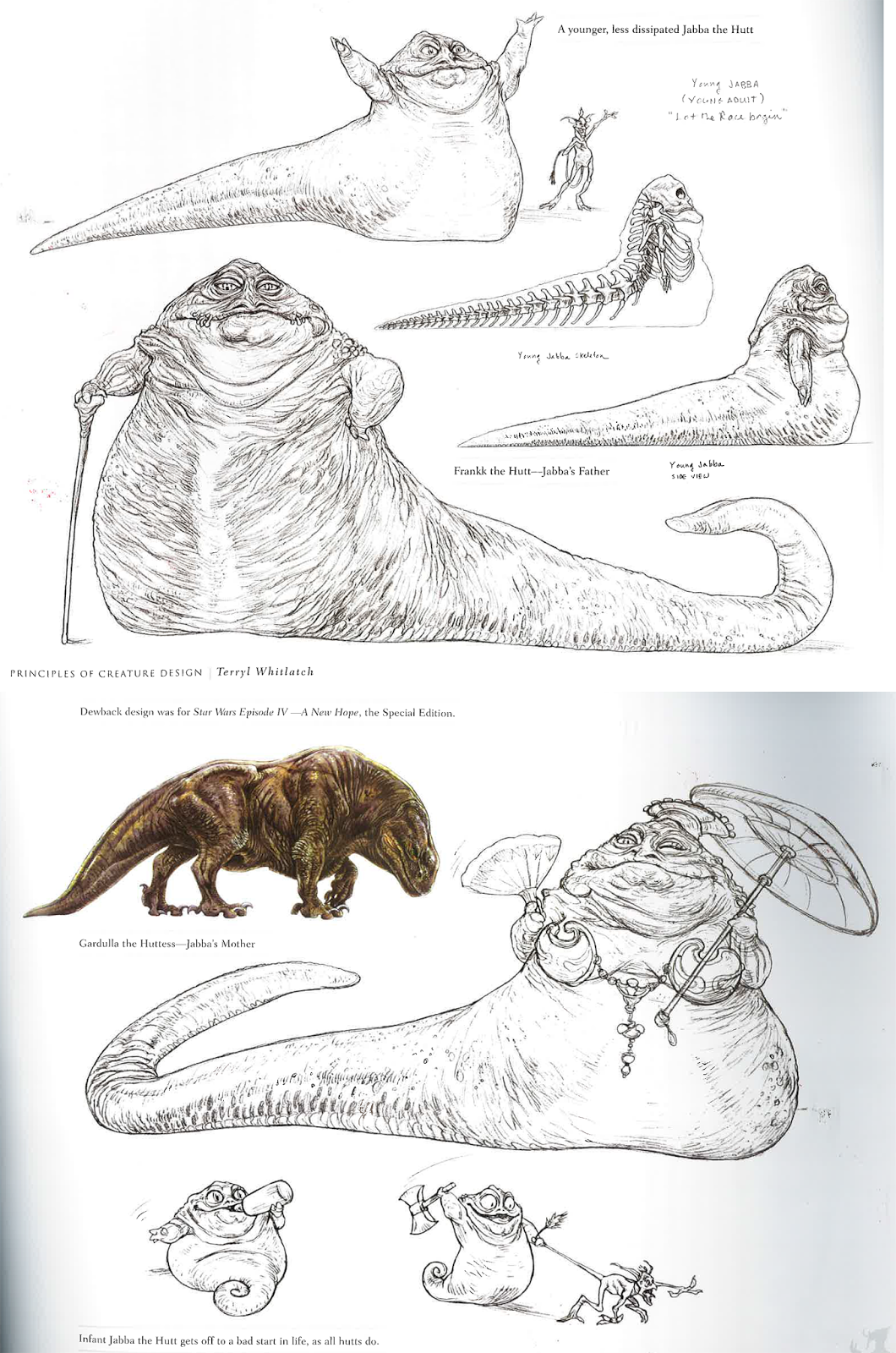 Honours Blog: Principles of Creature Design: Creating imaginary animals