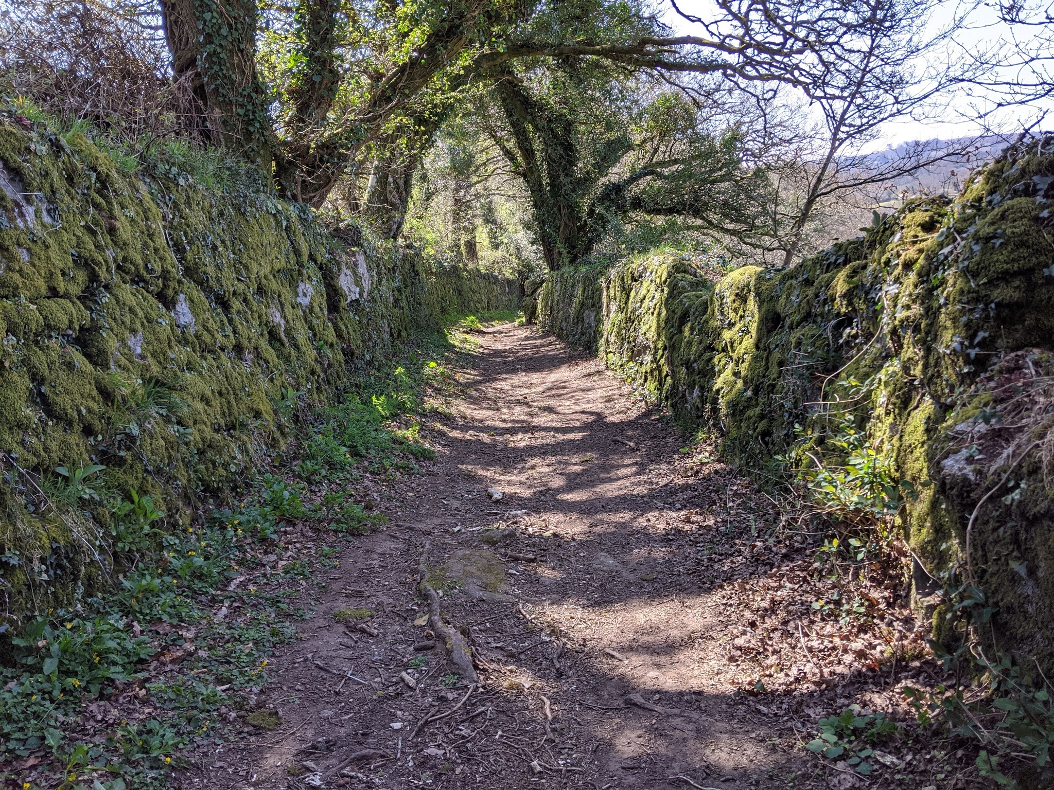 Max Piper - Tor Bagger: Dartmoor: Whiddon Down to Chagford