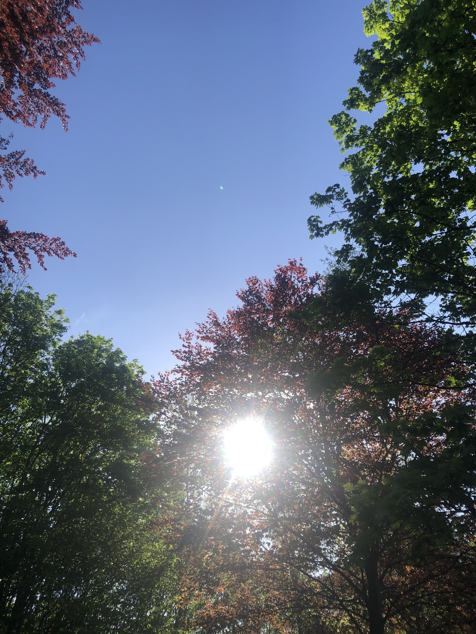 Profiter de l’instant présent! ☀️ - École Saint-Joseph à Wonck - Blog