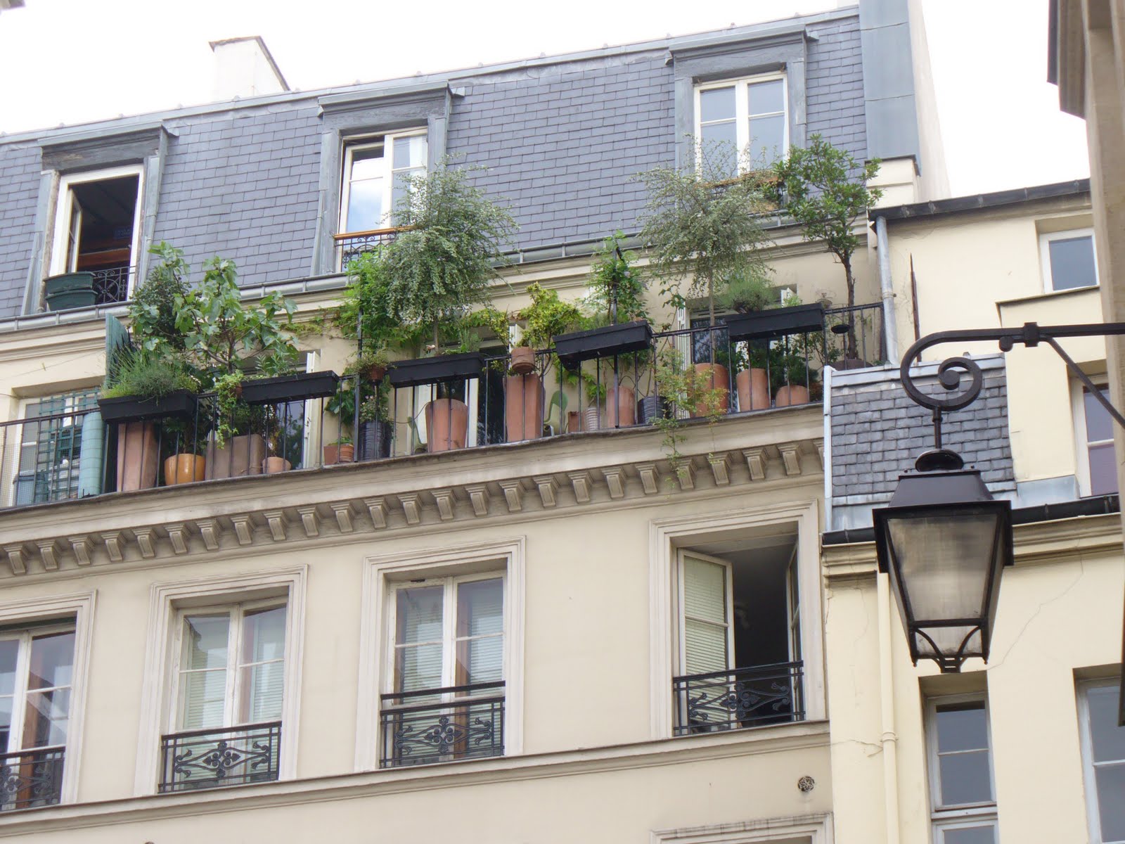 Les balcons de Paris: Les balcons à Paris: des jardins suspendus
