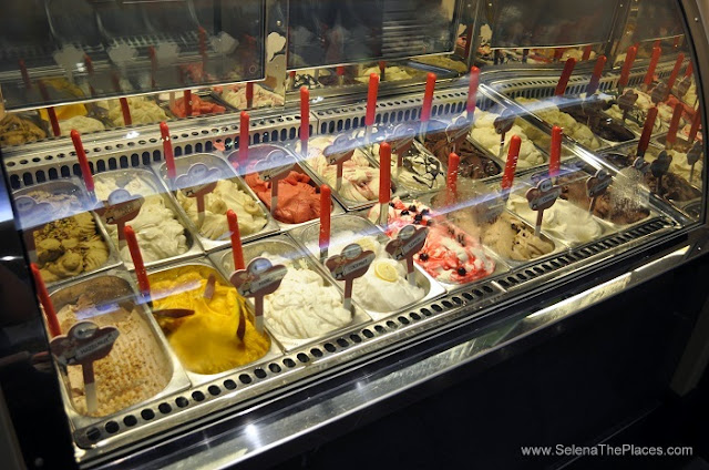 Oh, the places we will go!: MSC Splendida