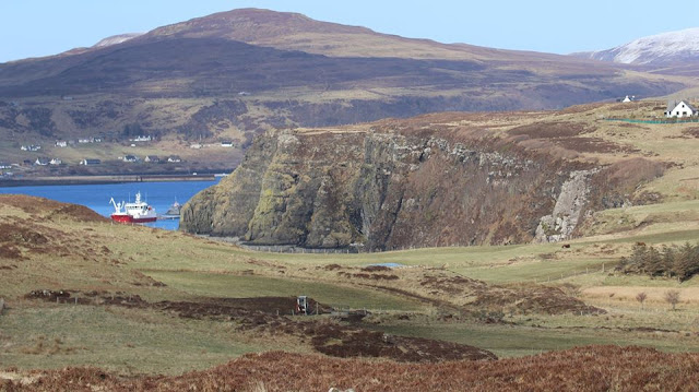 Isle of Skye U3A Walking and Nature Groups: 13 Mar 20: sunny Cuidrach ...