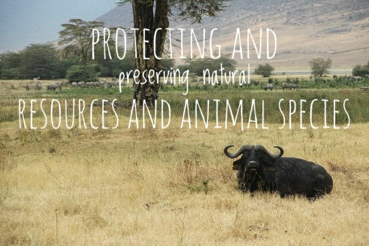 Protecting and preserving natural resources and animal species