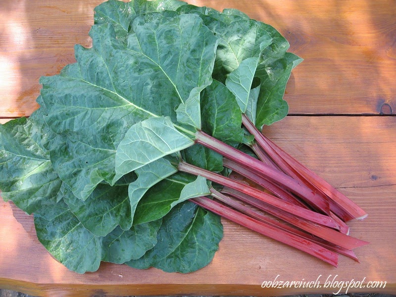 Obżarciuch: Rabarbar