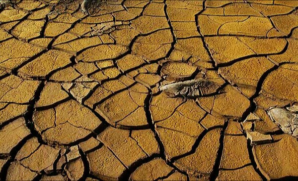 La cueva del coco: Dioses de barro...