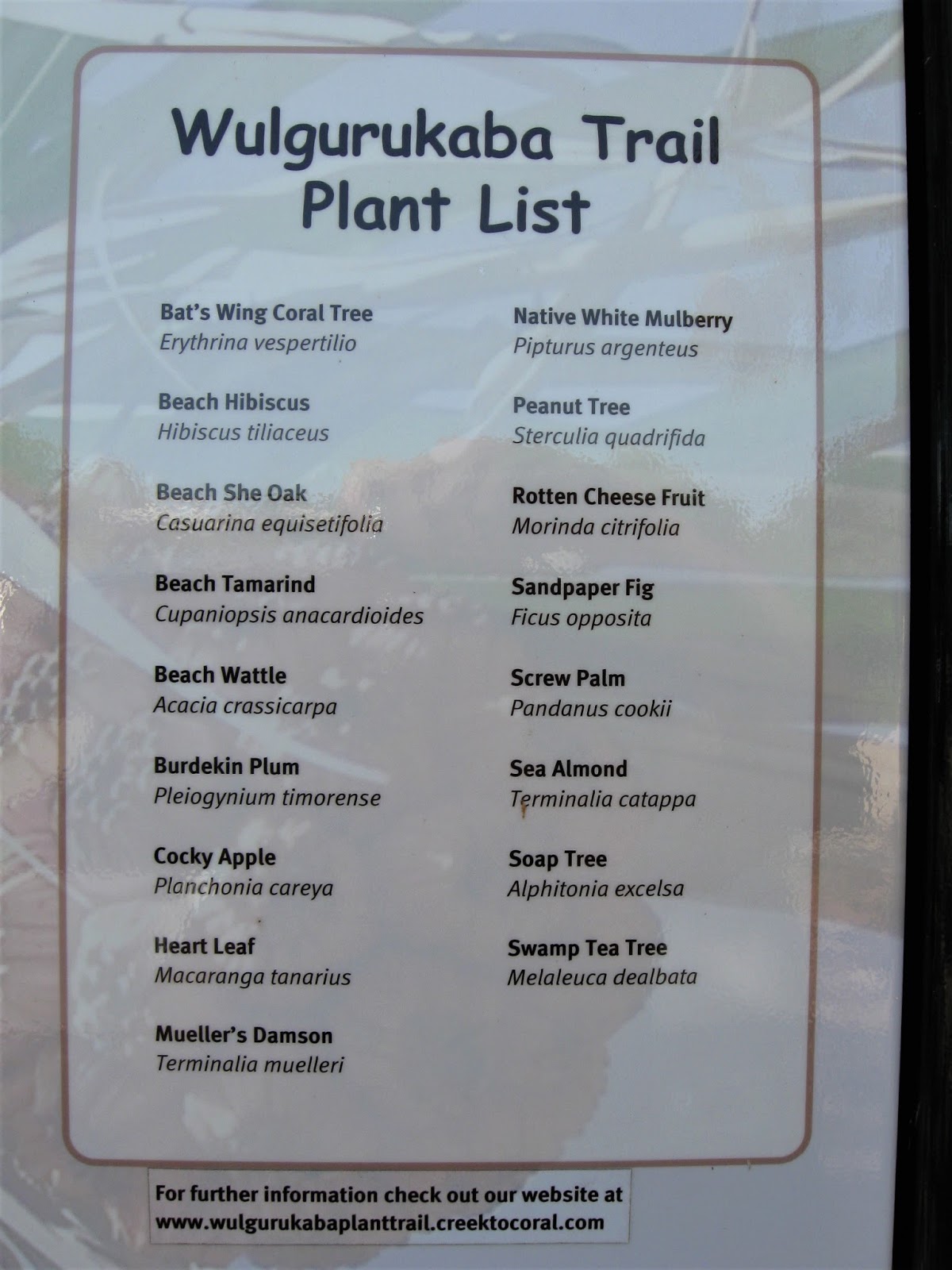 Free as A Bird: Wulgurukaba Plant Trail