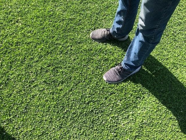 Xtremehorticulture of the Desert: Kurapia as a Turfgrass Replacement