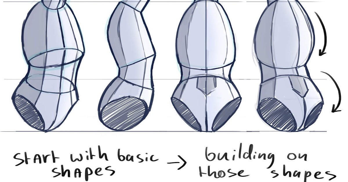 Learning drawing principles: torso