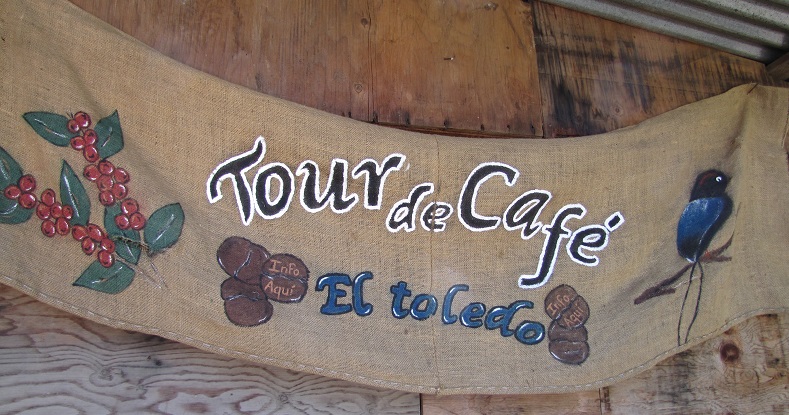 Unpacking Costa Rica: Visited the El Toledo Coffee Farm