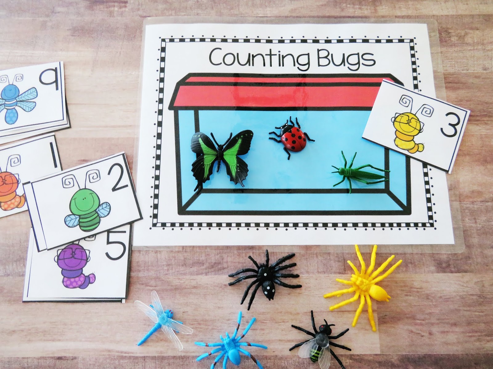 Bugs and Insects Preschool Theme