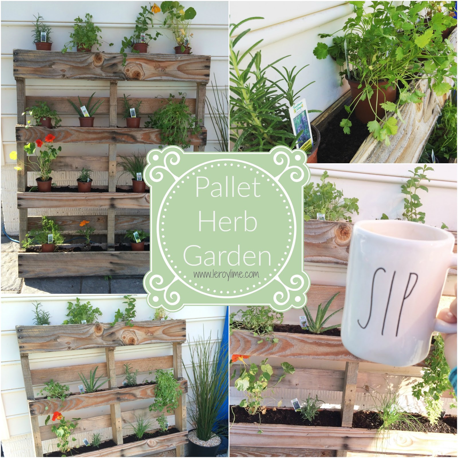 LeroyLime: Pallet Herb Garden