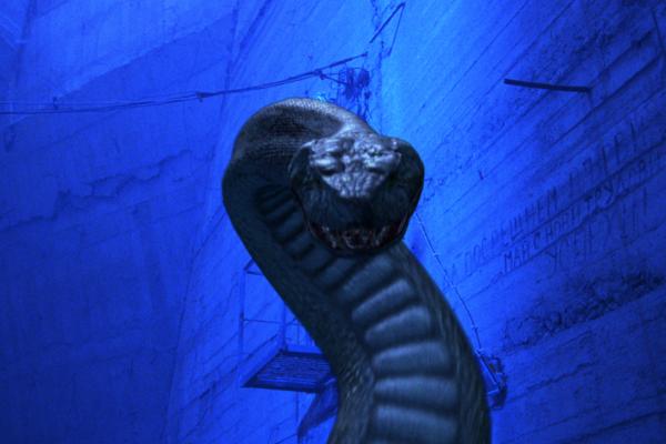 kocham dziwne kino: Pythons 2 (2002)