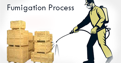 How to Get Phytosanitary Certificate in Pakistan - Procedure to Get ...