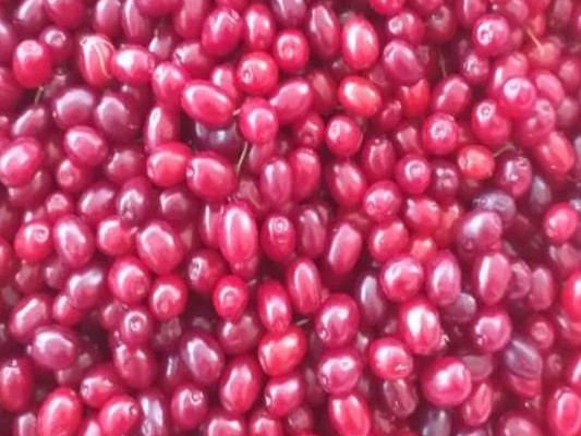 Bunatatile casei: Coarne