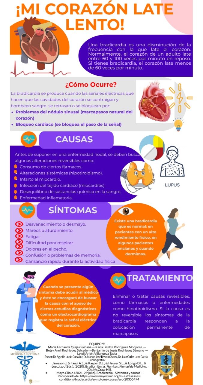 ¡Mi corazón late lento! - DIVULGACIÓN CIENTÍFICA UG