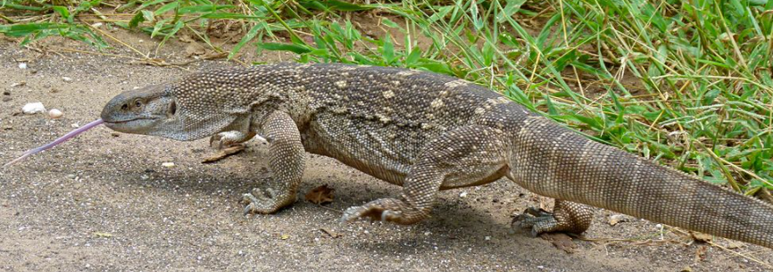 Mothers Speak about War and Terror: “Whole-of-America approach”