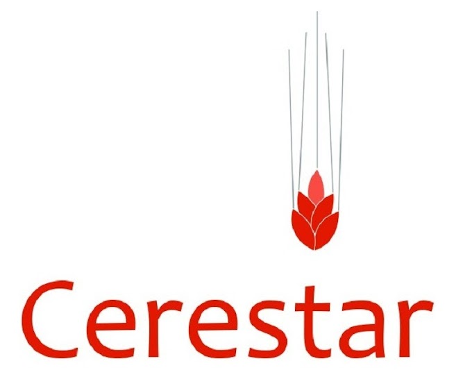 PT Cerestar Flour Mills