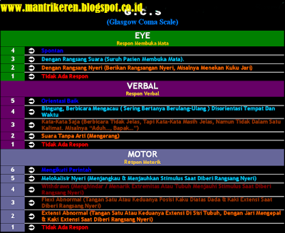 Cara Mengetahui Tingkat Kesadaran Pasien Dengan GLASGOW COMA SCALA (GCS ...
