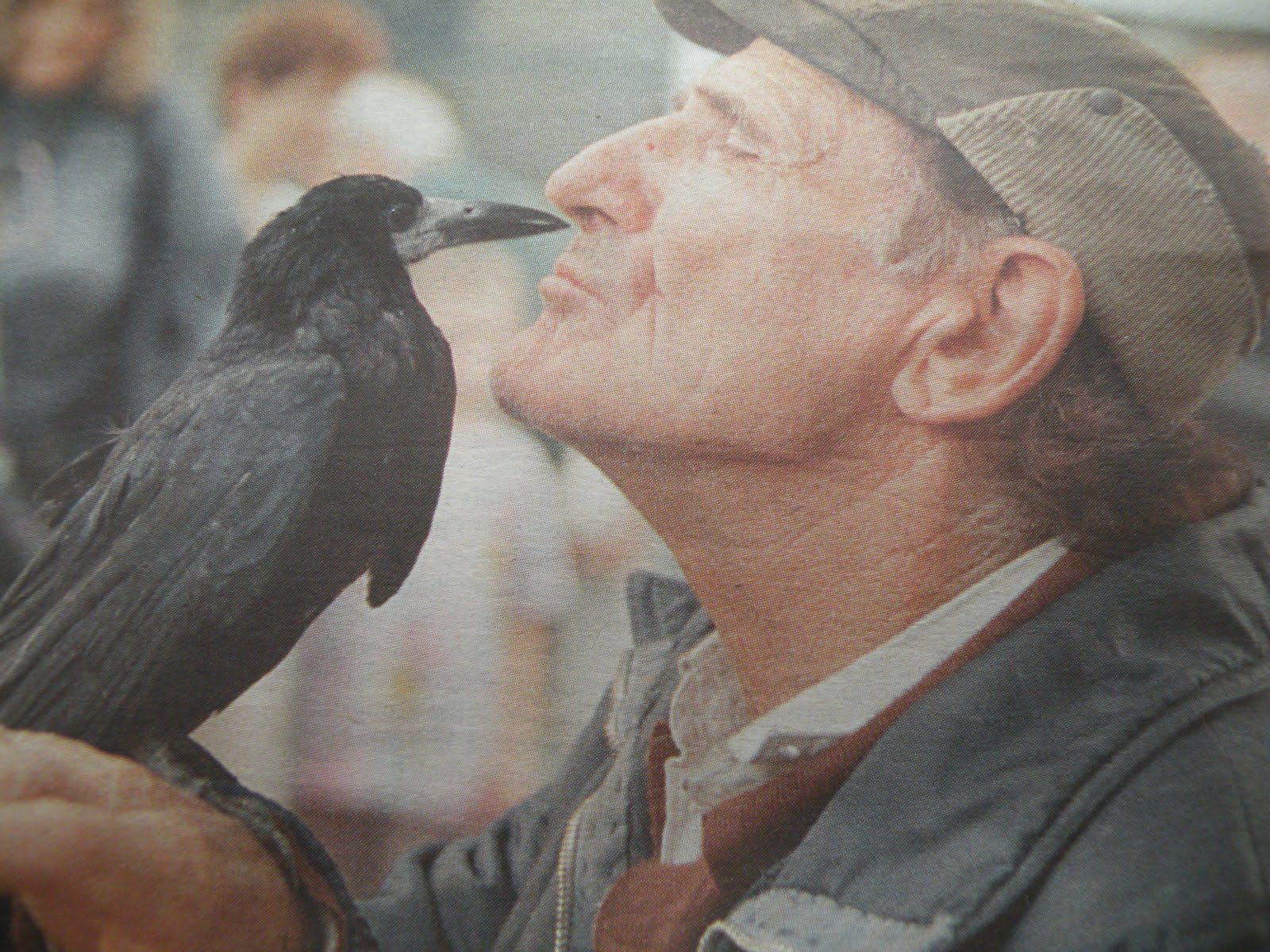 Common Raven's Instagram, Twitter & Facebook on IDCrawl