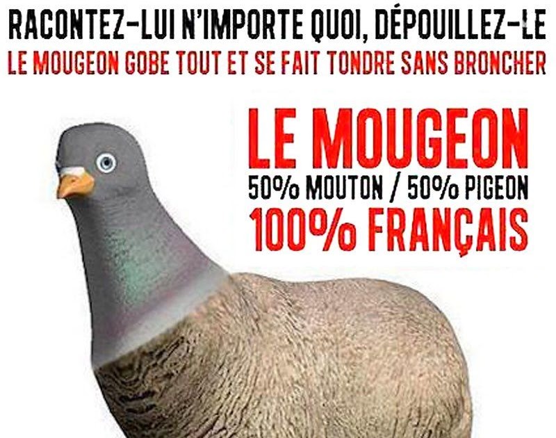 Les vues imprenables et php: Finistère, Châteaulin : quand l'usine de ...
