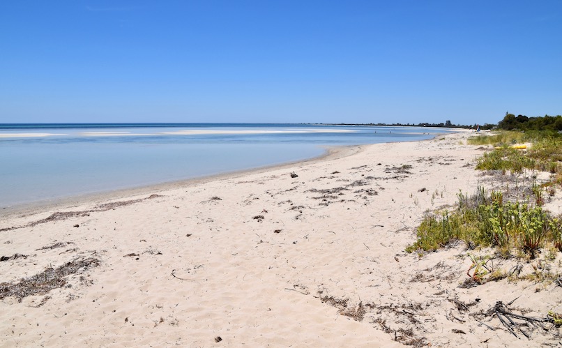 Alan & Lyn's Huge Adventure: 2019