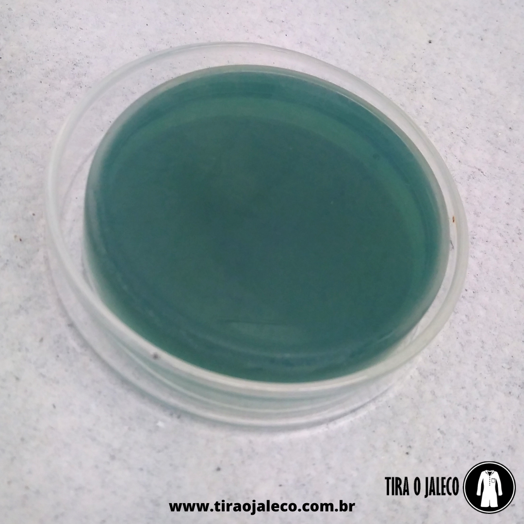 Meio de Cultura - CLED - Tira o Jaleco