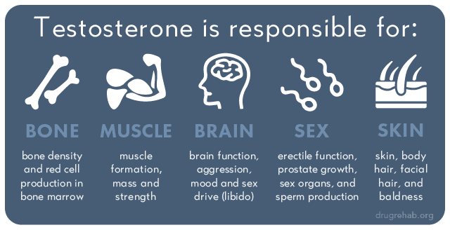 Testosteroon ja vastupidavustreening