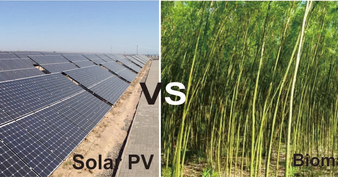 Inovasi Biomasa : Solar PV atau Biomass To Energy?