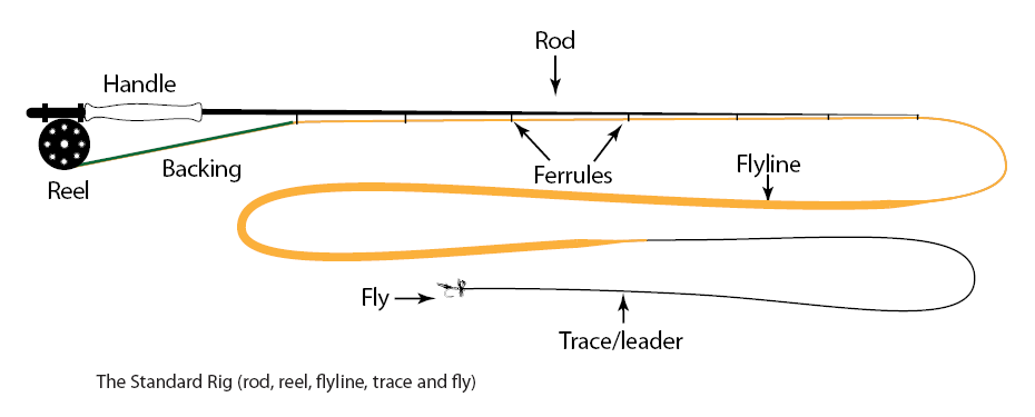 How to Rig a Fly Rod - Fly Fishing