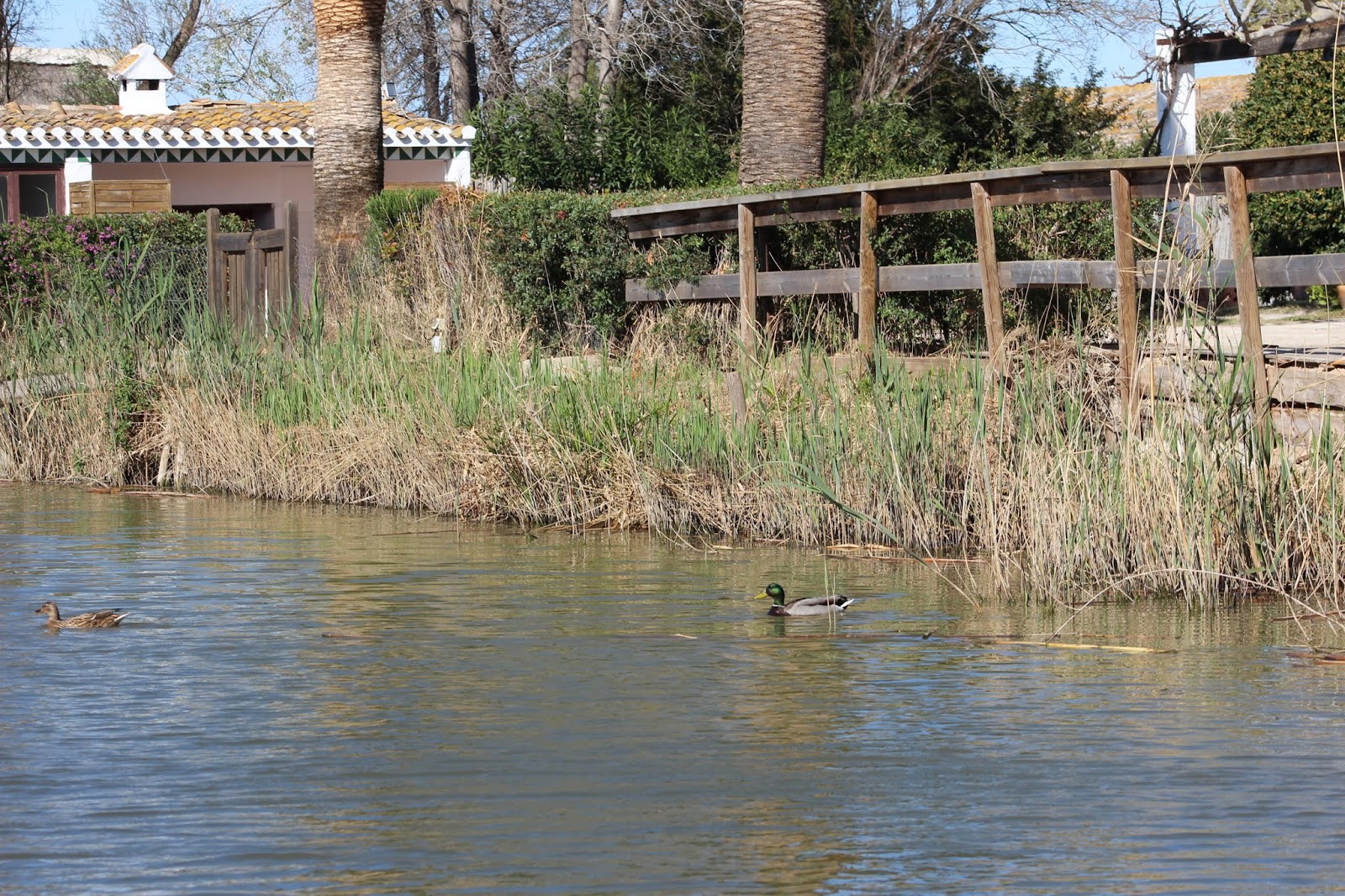 Perfumes y luces de Extremadura: Parque natural de la Albufera o la ...