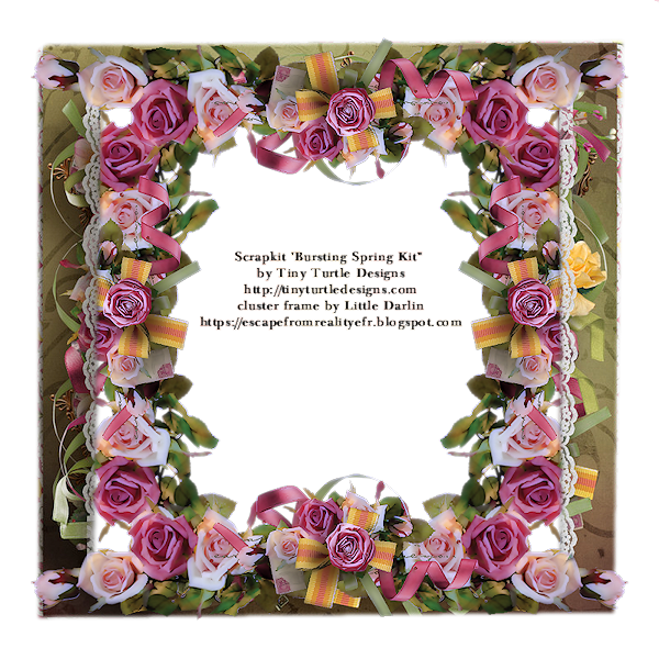 Escape From Reality Blog: FTU 'Bursting Spring' Cluster Frames TTD