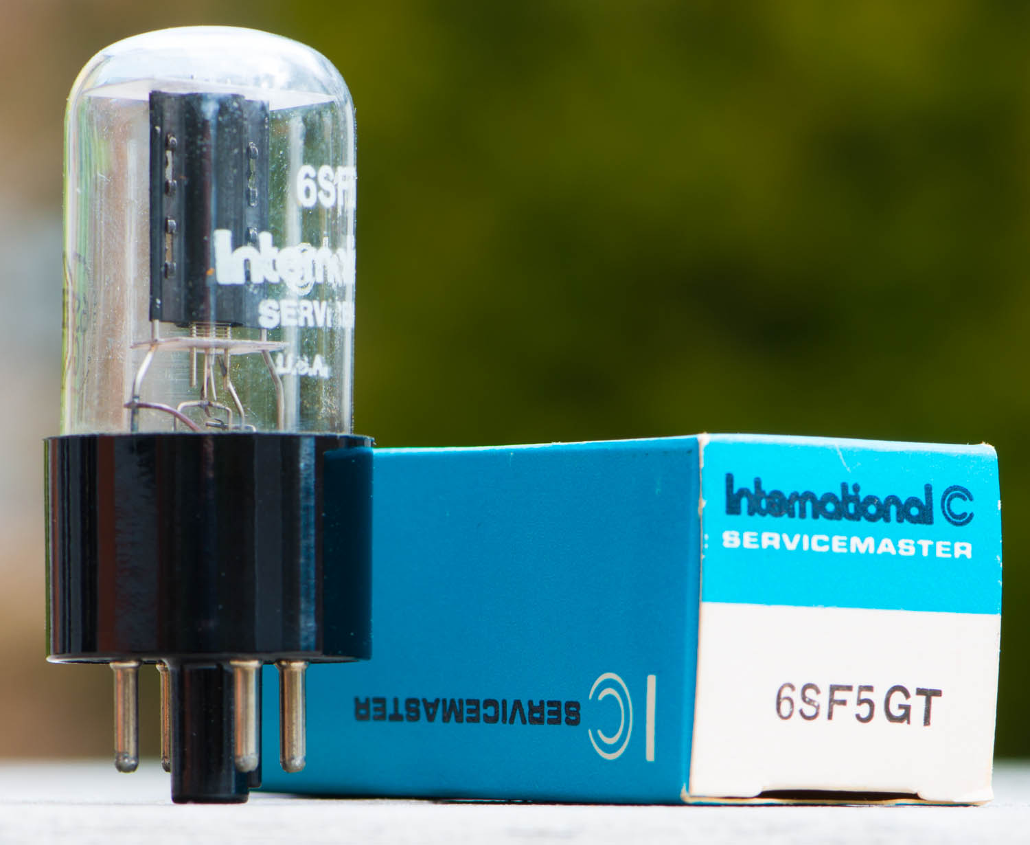 VinylSavor: Tube of the Month : The 6SF5