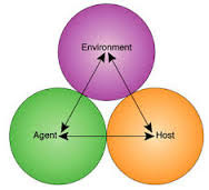 TRIAS EPIDEMIOLOGI ~ Ratu Novita Sari