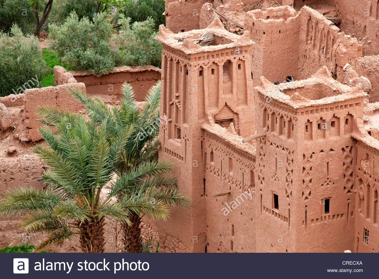 History and Influence of the Berbers