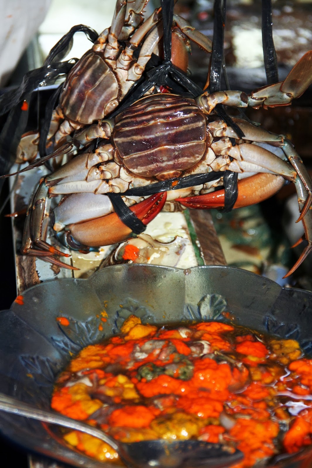 Living with Nature - School on Blog by Dr. Abercio V. Rotor: October 2013