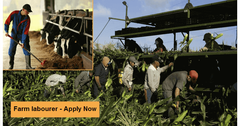 Farm labourers various work animal jam required to Canada - Worldswin ...