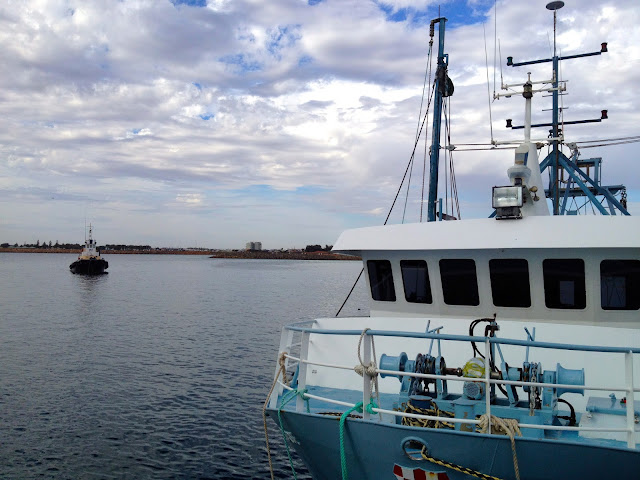 Evening / Morning: Wallaroo Jetty