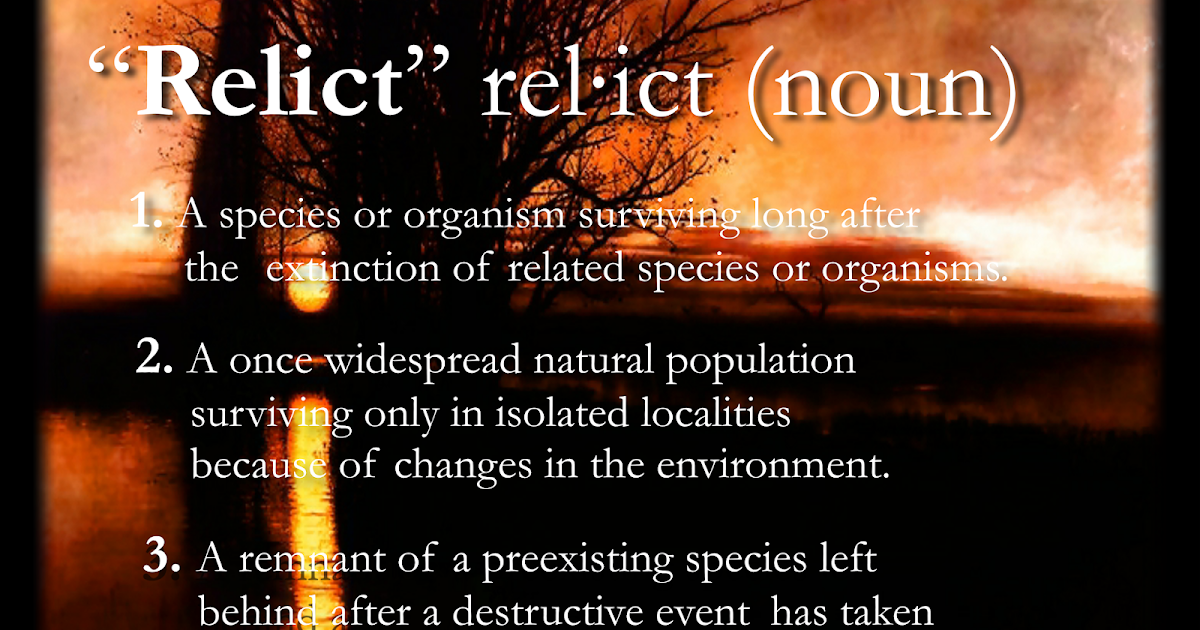 RICHARD FINNEY: OFFICIAL "RELICT" BOOK SERIES BLOG