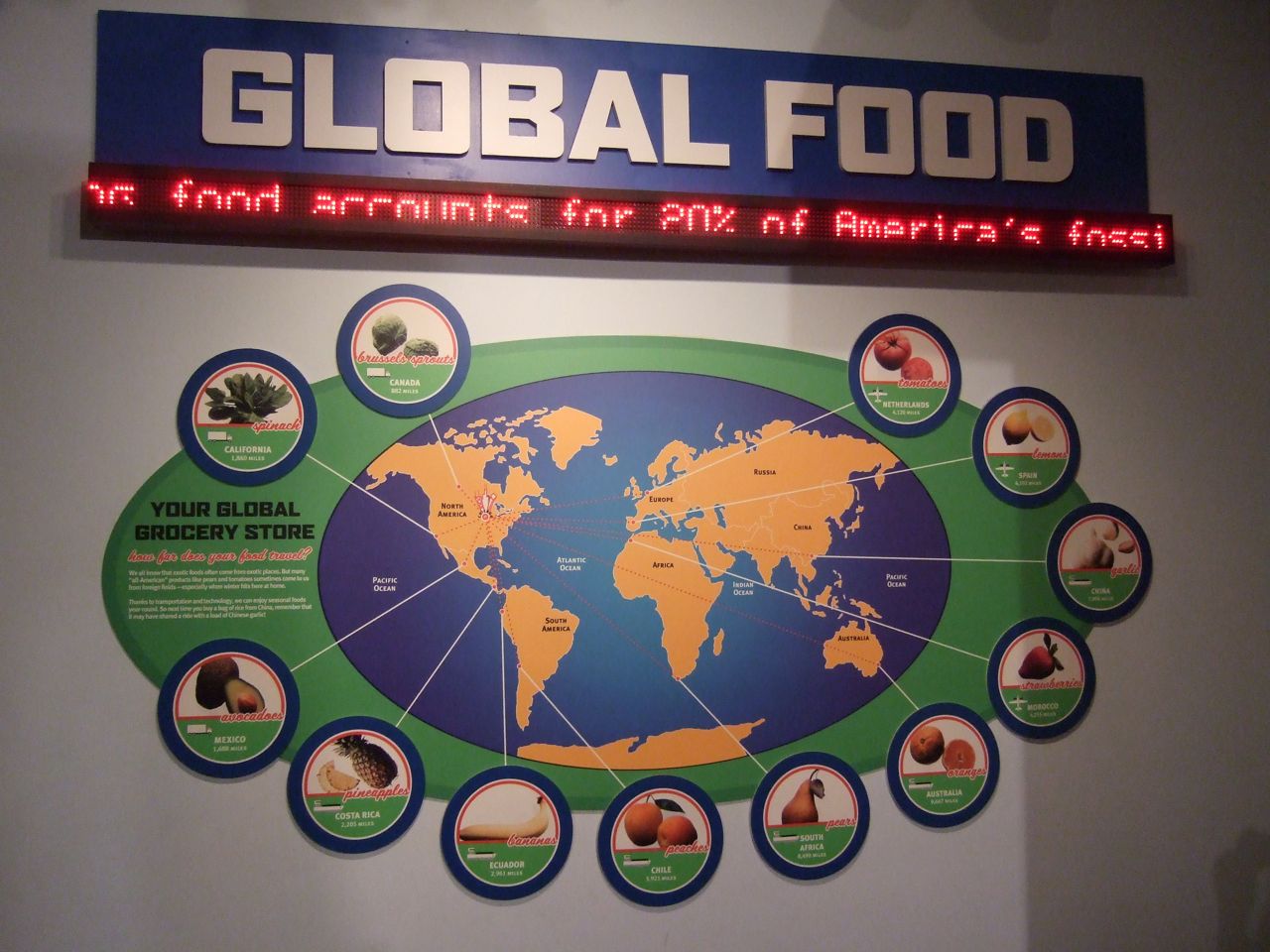 Amanda Kovattana: Travels Of The Thin One