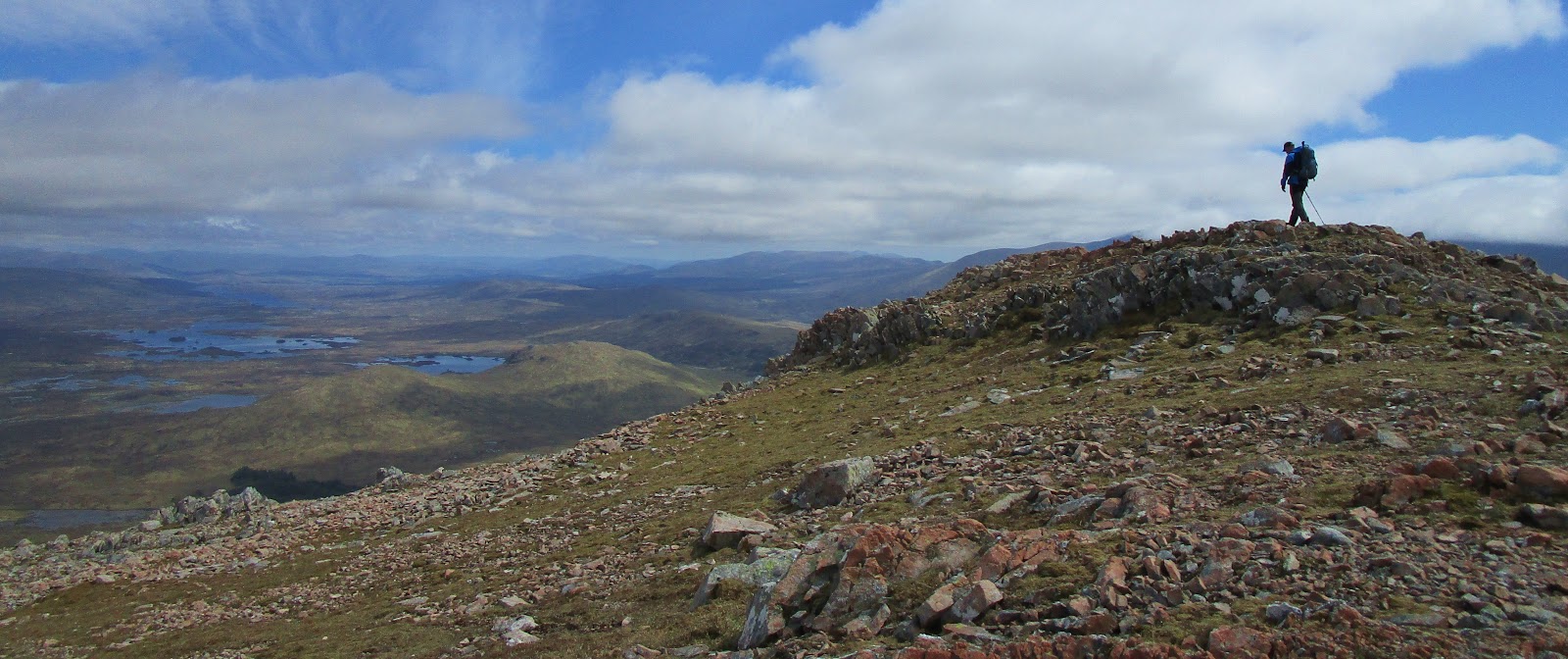 Big Gorse Bush: May 2019