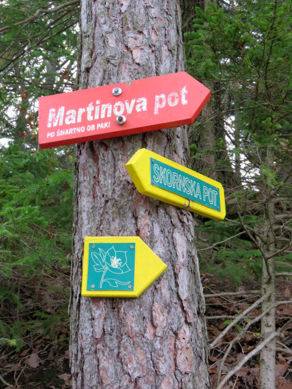 Tavanja po slovenskih hribih: Martinova pot