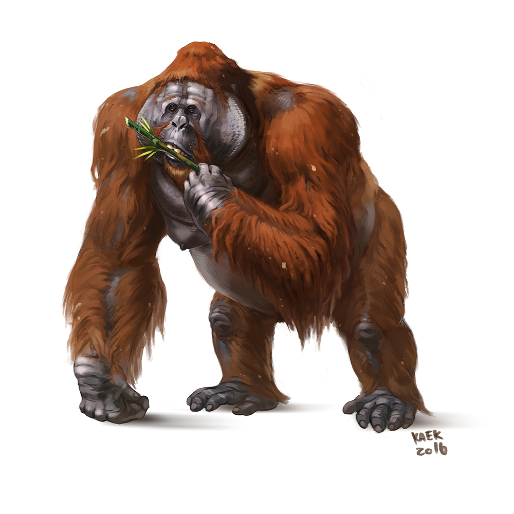 d20 Despot: Dawn of the Plane of the Apes: Gigantopithecus, Dire Ape