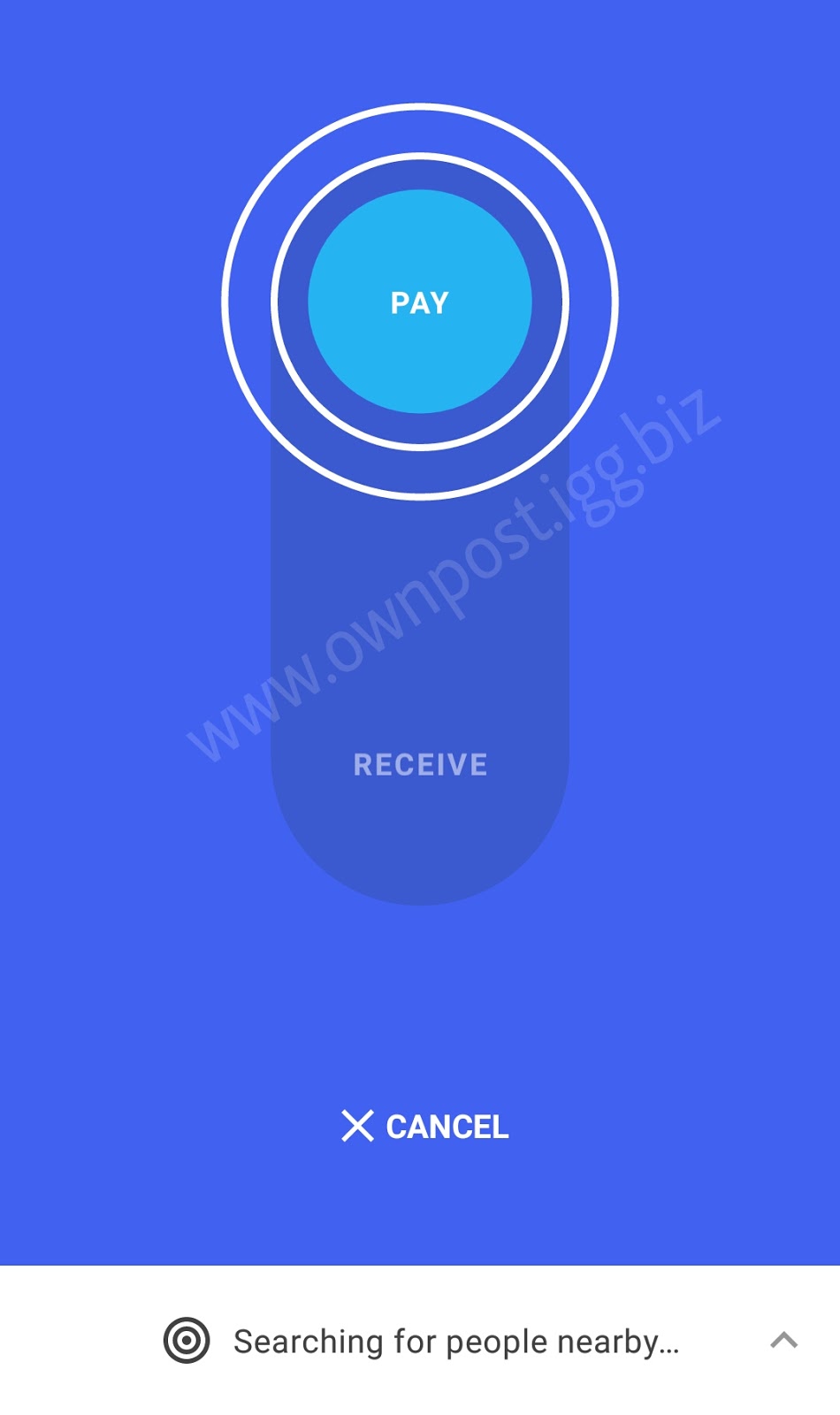 Fact about Tez app, How to use it.