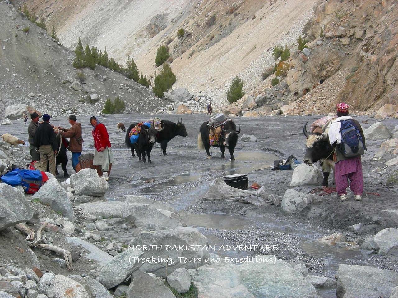 North Pakistan Adventure: NORTH PAKISTAN ADVENTURE