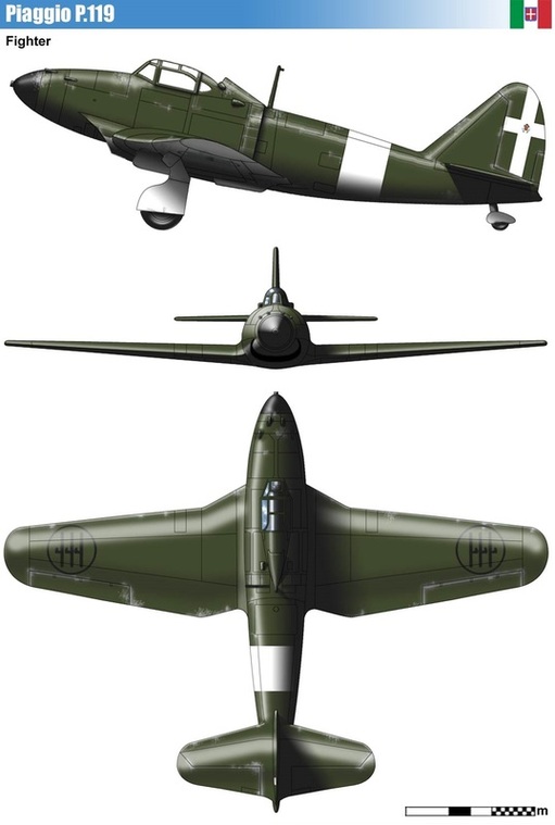 SI VIS PACEM, PARA BELLUM: Il Piaggio P.119 era un caccia monomotore ad ...