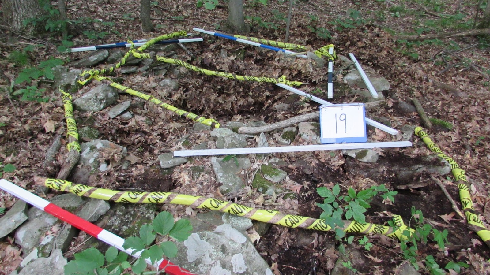Clarks Gully NY--Ancient Sacred Site: Ledges Area--Another Example of ...