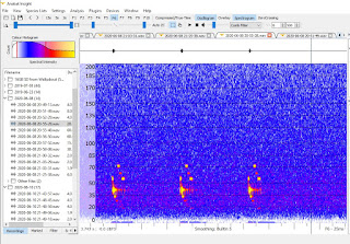 Bat Detector Reviews: Review Of The Titley Anabat Swift Part 3 Of 3 ...