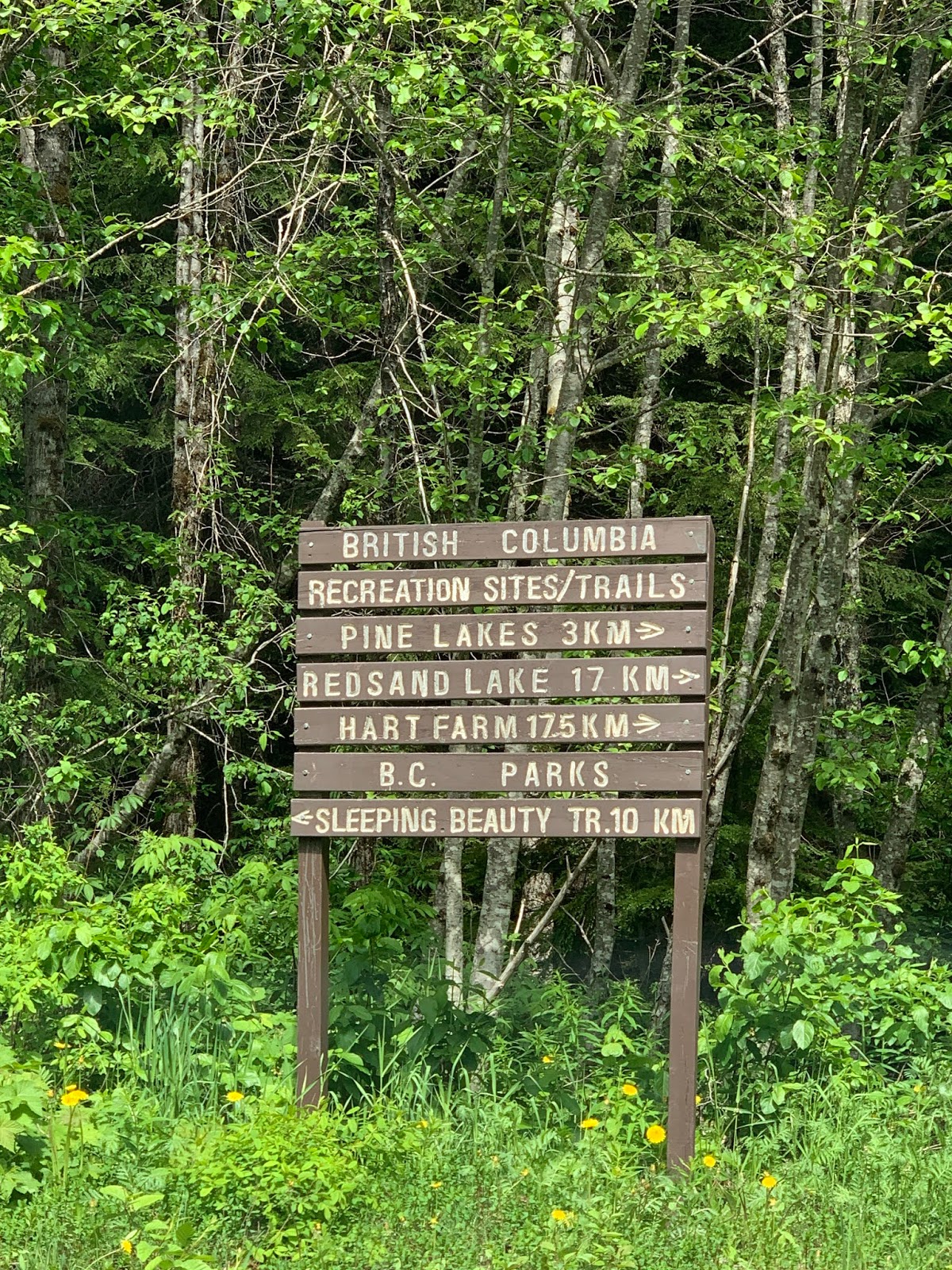 Day Trip to Red Sand Lake, Terrace, British Columbia, Kanada - BUDGET ...
