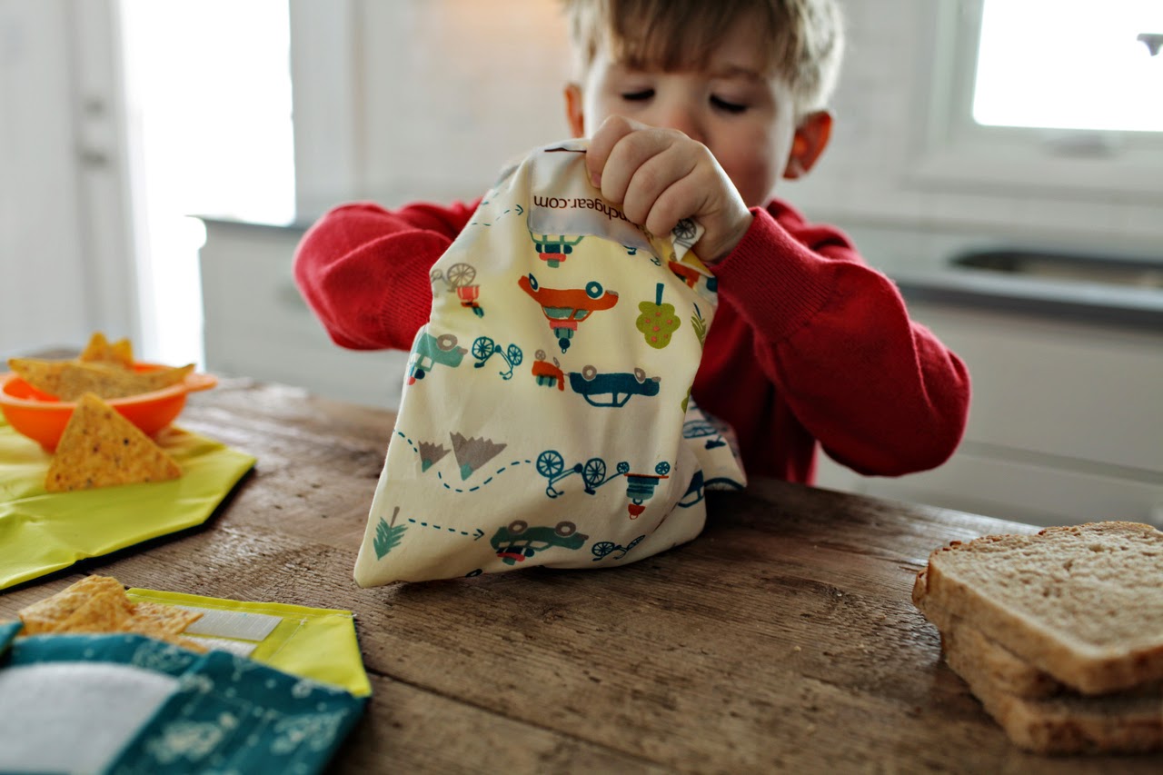 Self Wealth: Eco-friendly Reusable Snack Bags